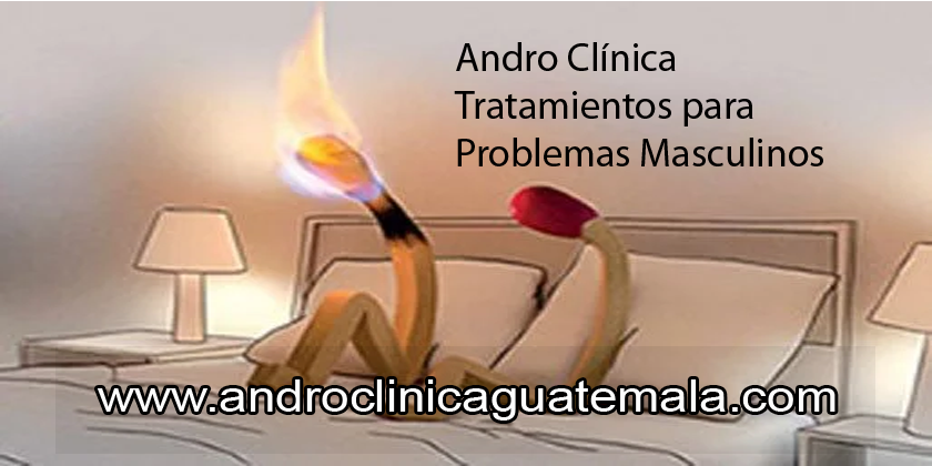 Directorio Empresarial | Compusystem